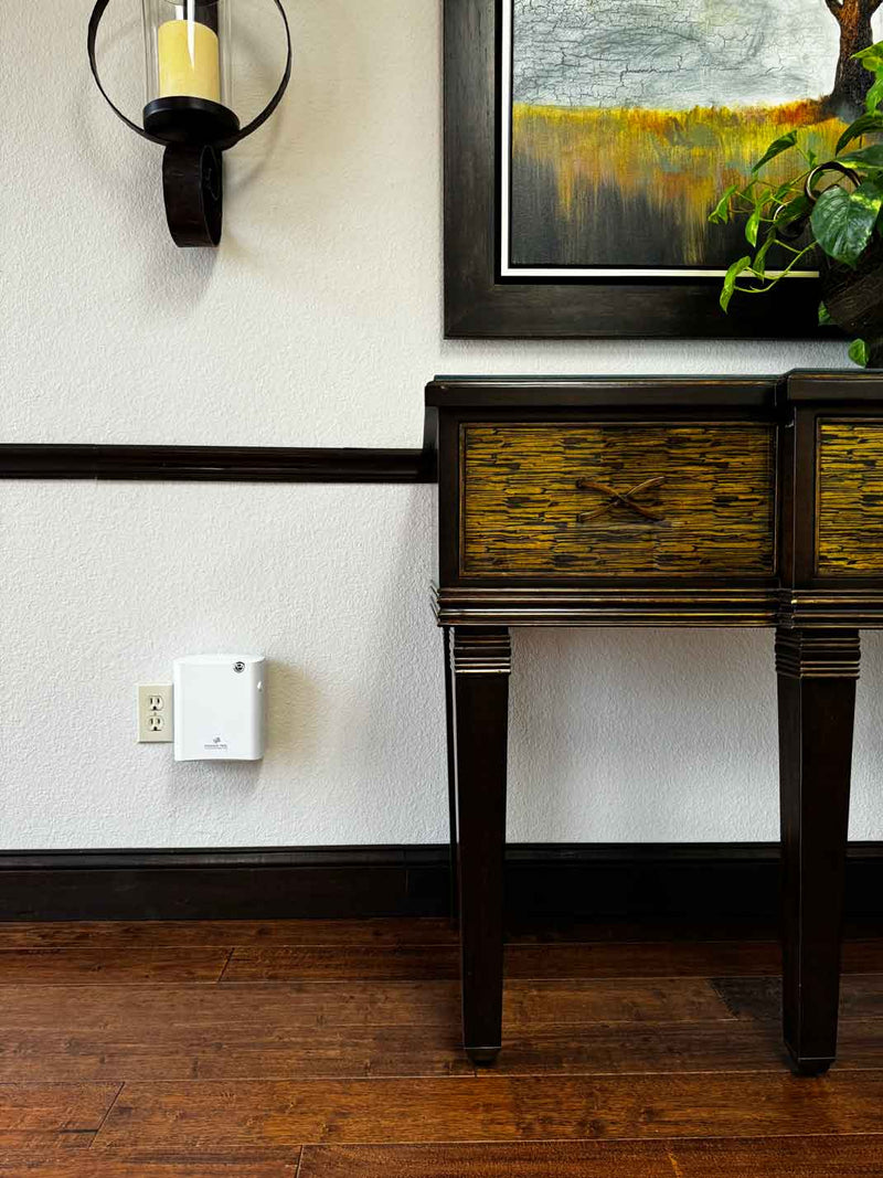 Potion and Twig - Scent Diffusers for your home